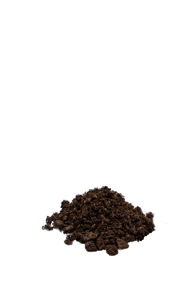 Cookie Crumb Chatime Us